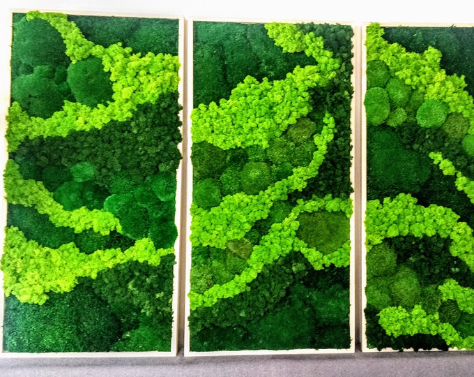 Set of 3 Moss Frame 120cmx60cm 48x24. Green Wall Art. Wall Decor ...