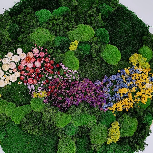 Round Wall Art - Etsy