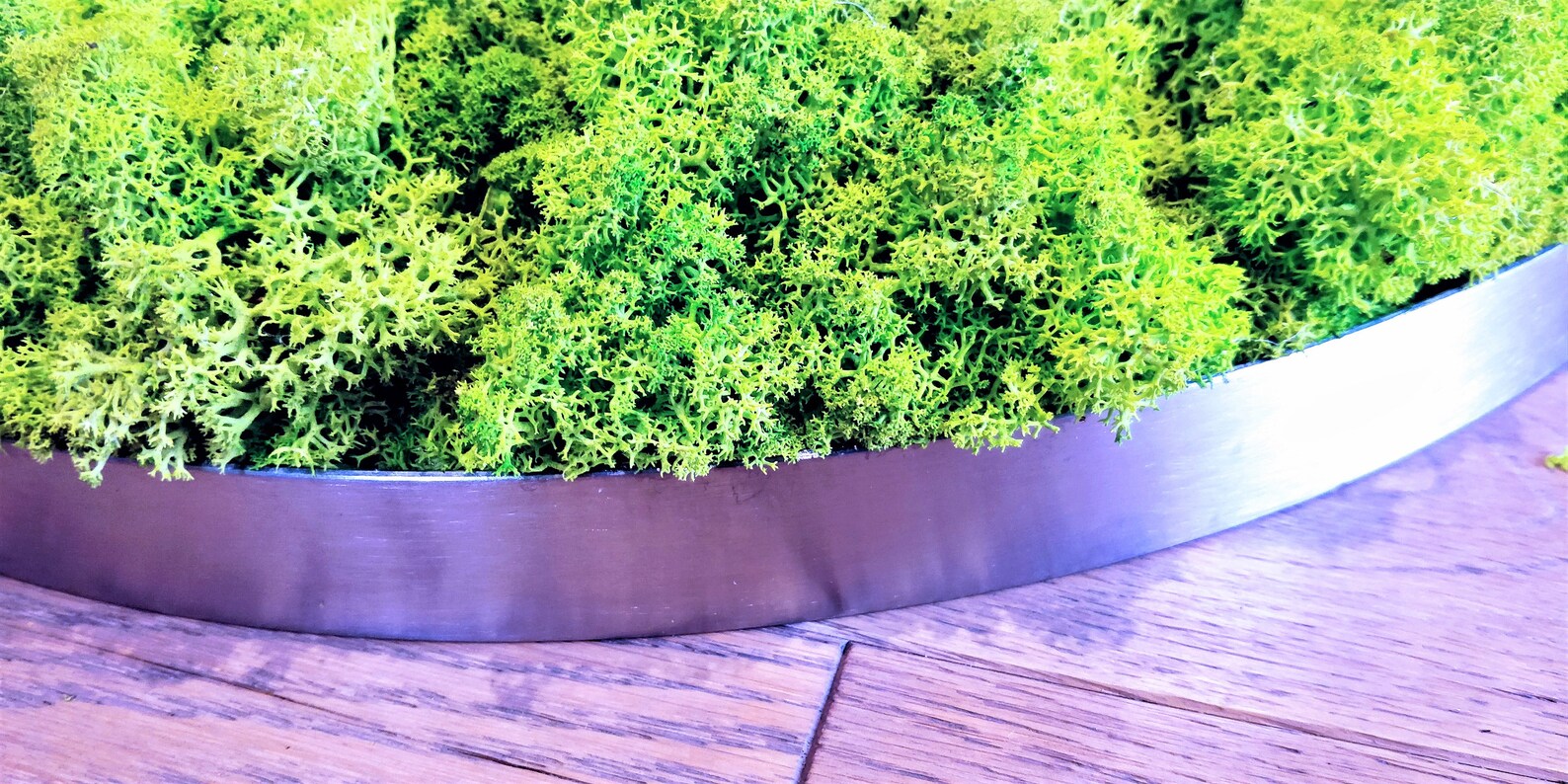 Vertical Garden Image of Moss Moss Wall Round Moss Art | Etsy