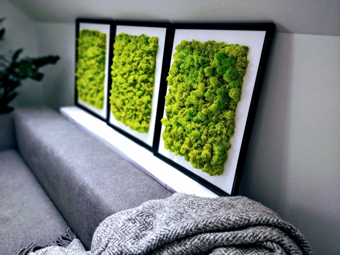 Set of 3 Moss Wall Art Frame, Vertical Garden, Scandinavian Moss, Moss ...