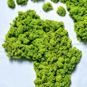 Moss World Map, Office Wall Art, Home Office Decor, Vertical Garden ...