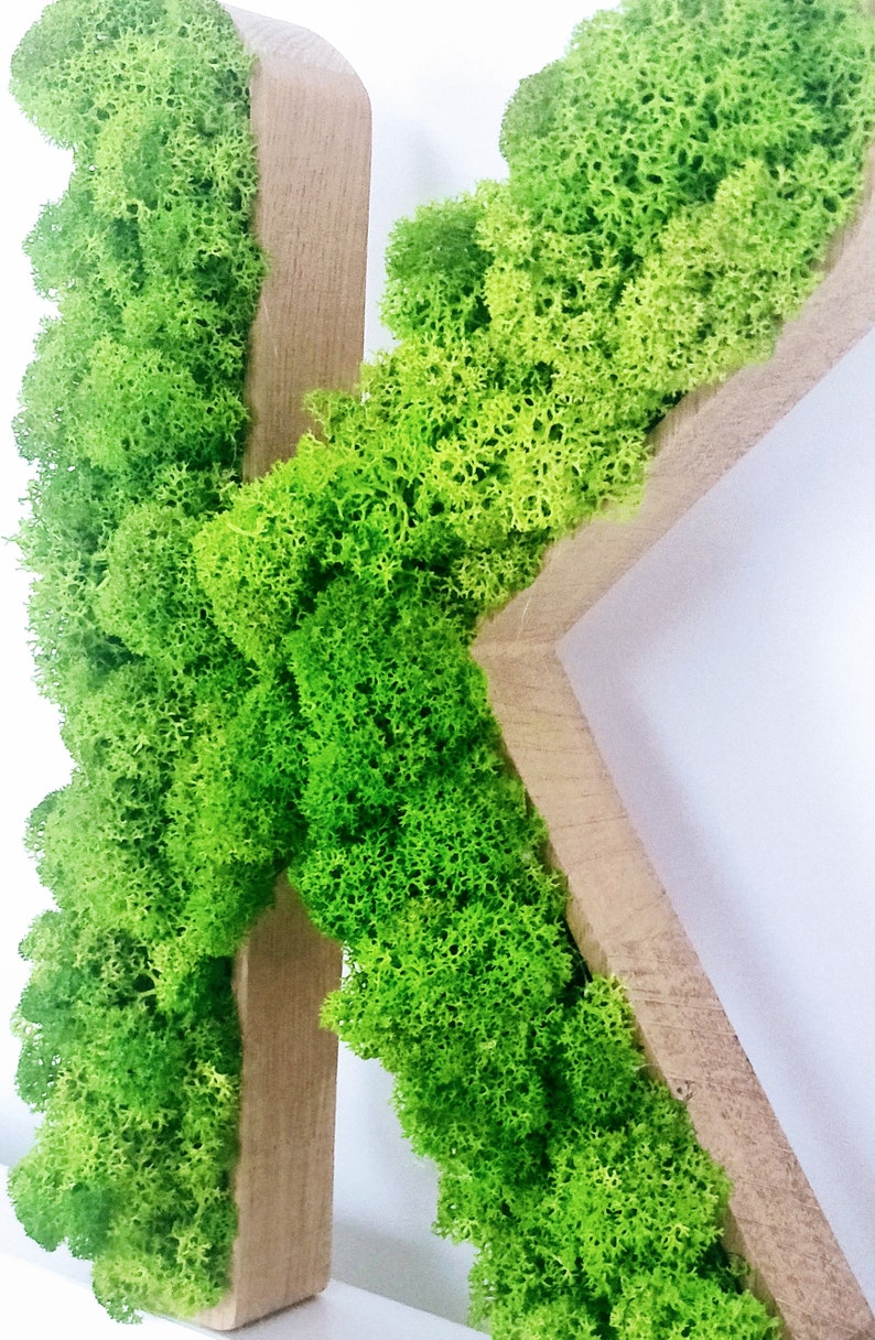 3D Moss, Wooden, Oak Letters. Your Company Logo - Etsy