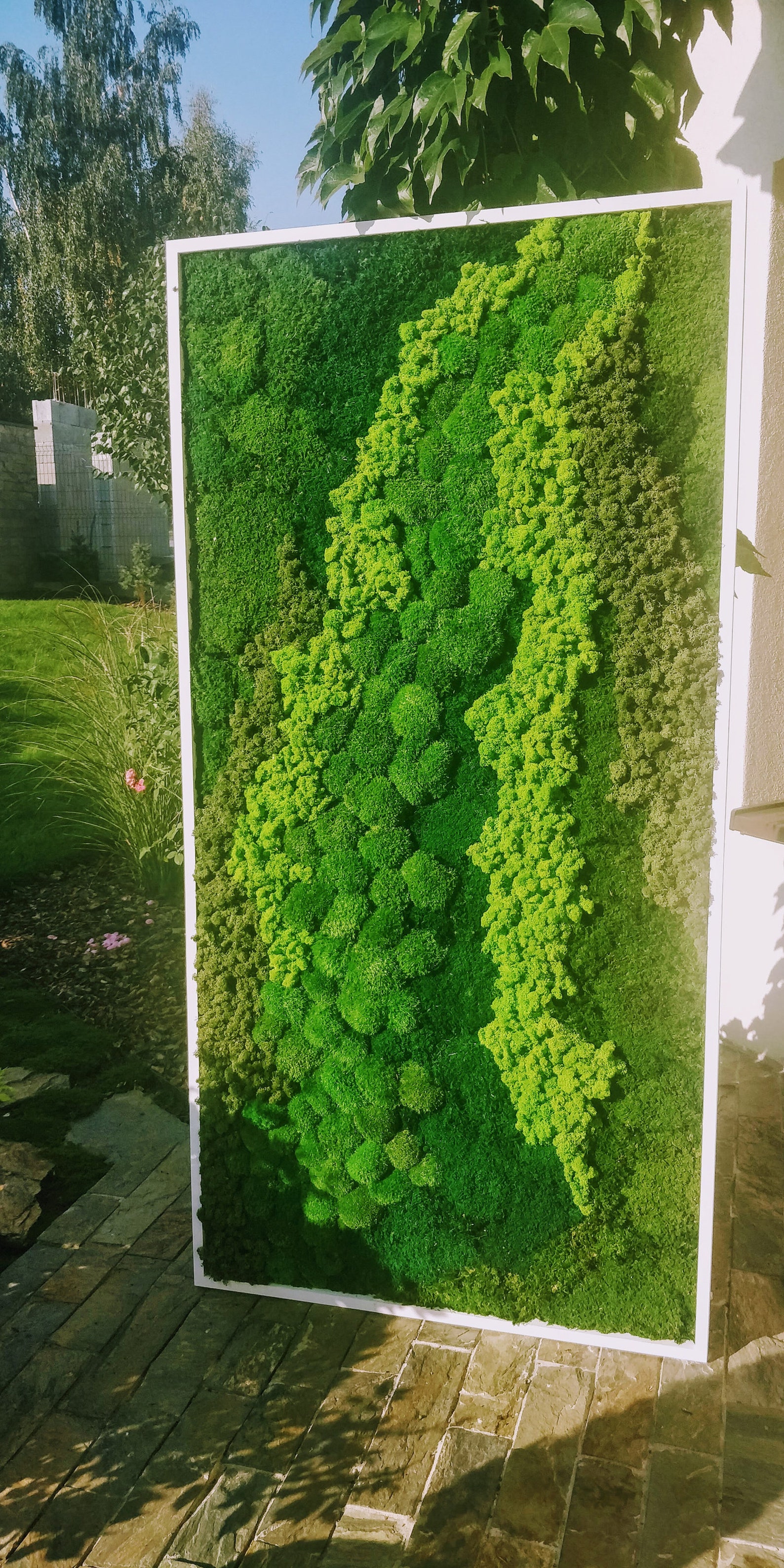 Moss Frame. Green Wall Art Wall Decor. Preserved Moss. Vertical Garden ...
