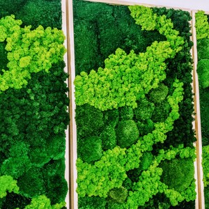 Set of 3 Moss Frame 120cmx60cm (48"x24"). Green Wall Art. Wall Decor ...