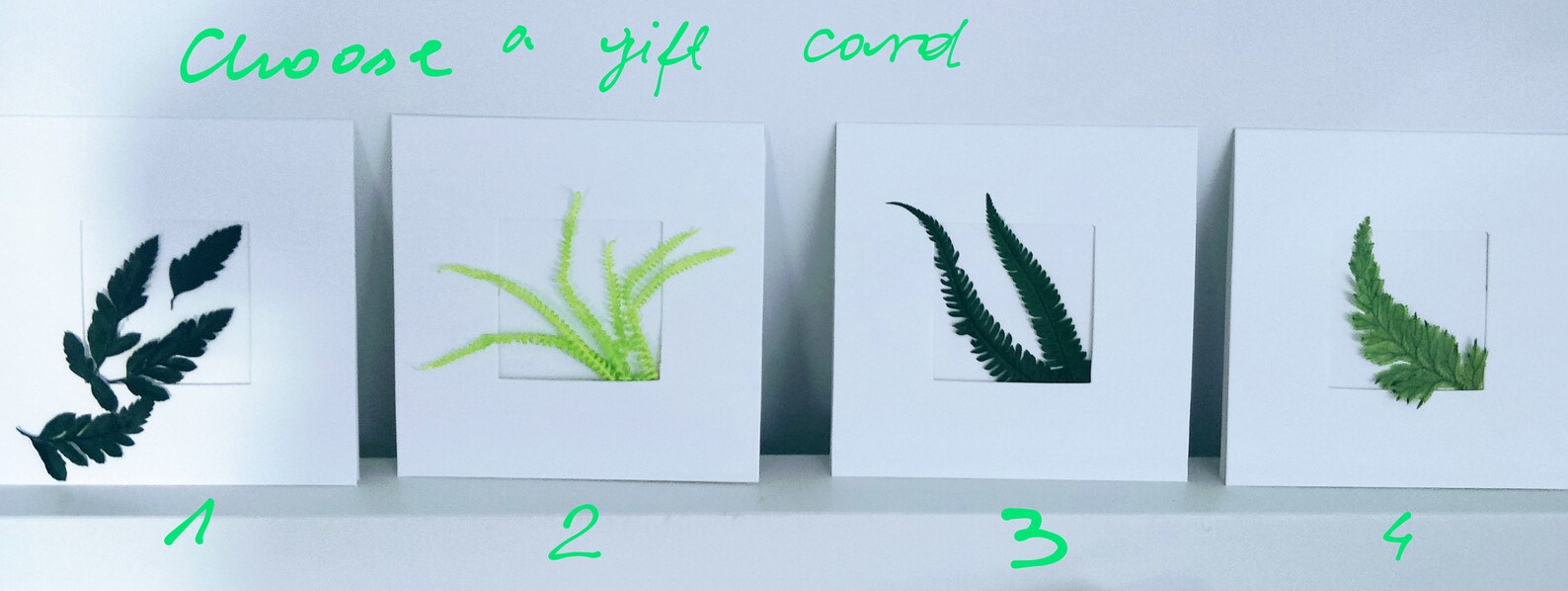 Moss Frame. Green Wall Art Wall Decor. Preserved Moss. Vertical Garden ...