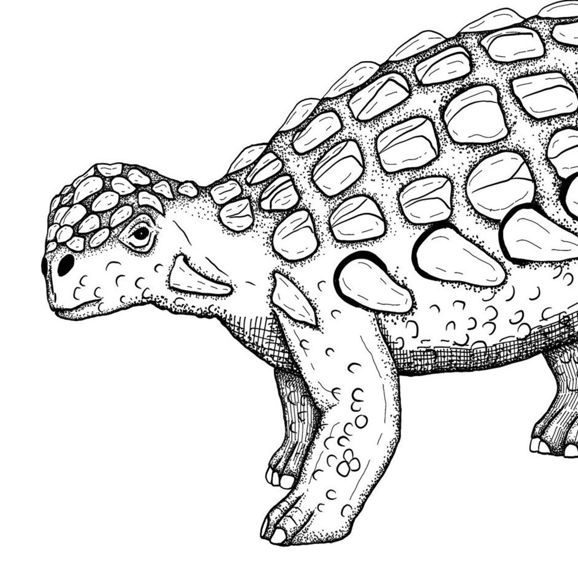 Dinosaur Wall Art Print Ankylosaurus Poster Black and White | Etsy