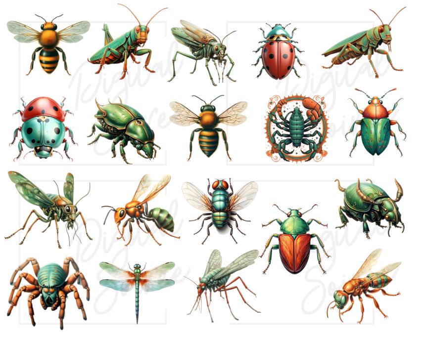 Insects Clipart + Sublimation Bundle - Vintage Watercolor Insects ...