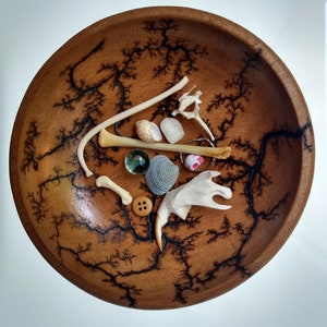 Throwing the Bones Book & Kit 129 Pgs and 15 Pc Learn to Throw the ...