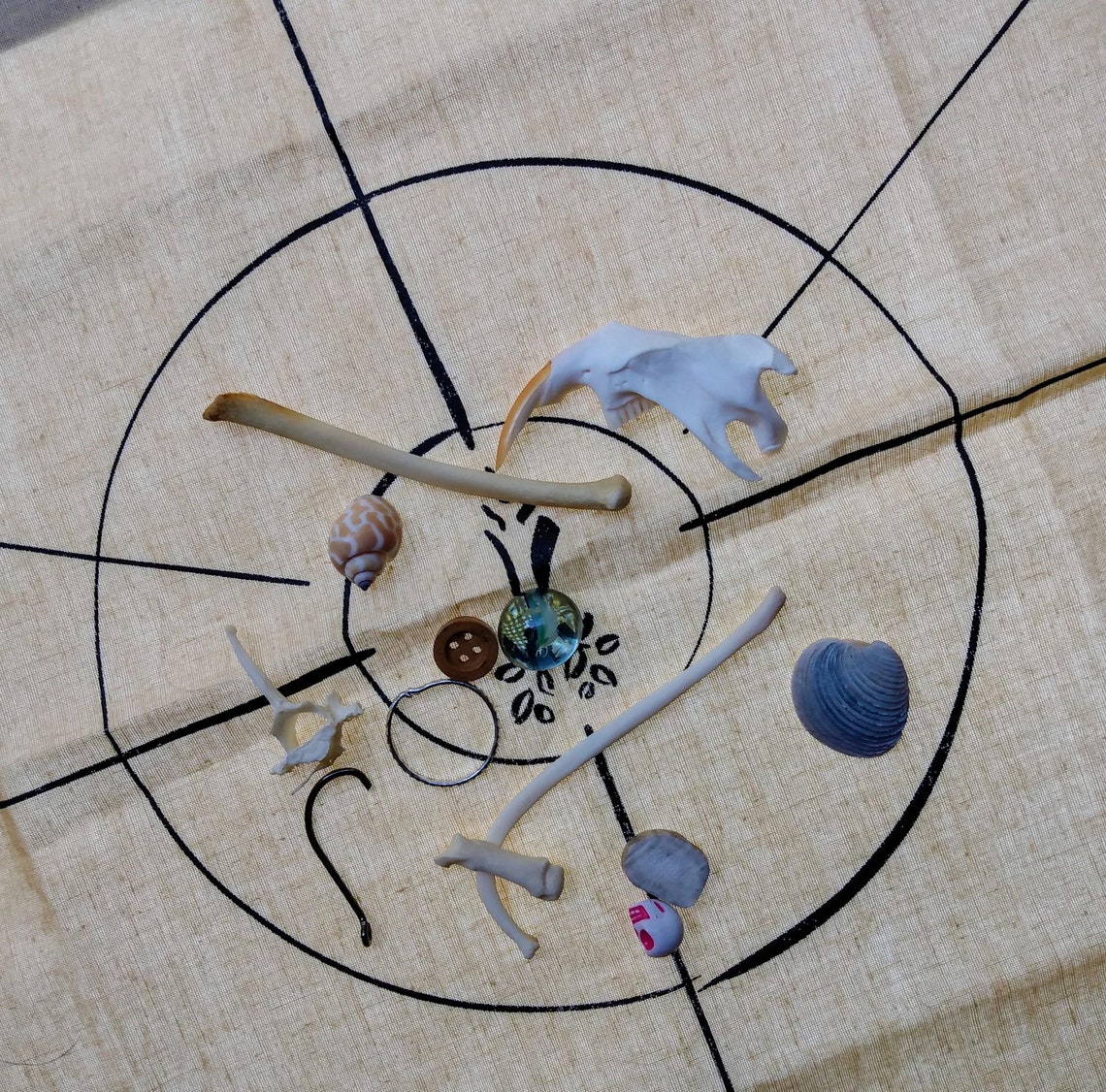 Throwing the Bones Book & Kit 129 Pgs and 15 Pc Learn to Throw - Etsy