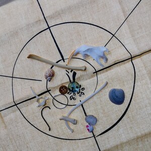 Throwing the Bones Book & Kit 129 Pgs and 15 Pc Learn to Throw the ...