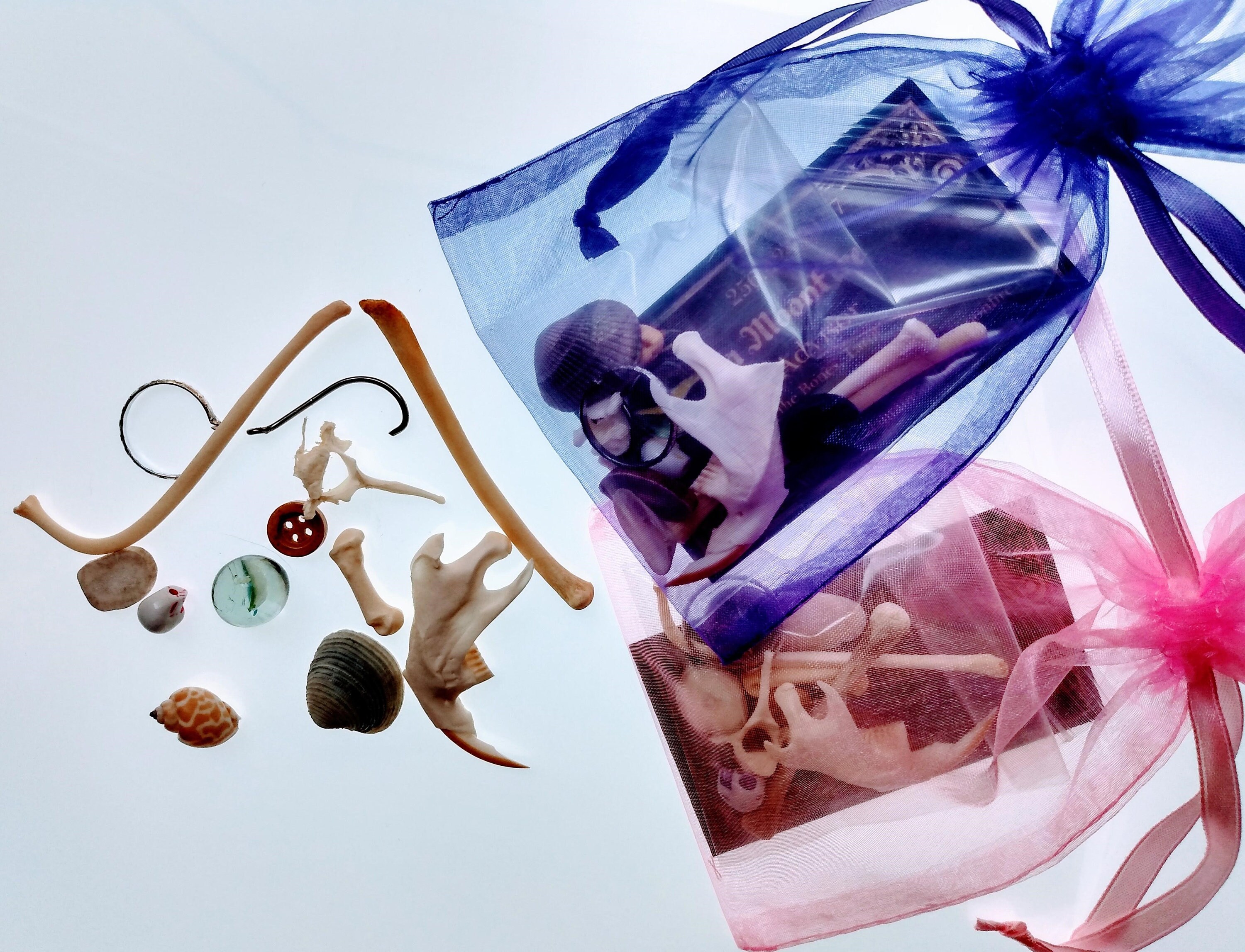 Throwing the Bones Book & Kit 129 Pgs and 15 Pc Learn to Throw - Etsy