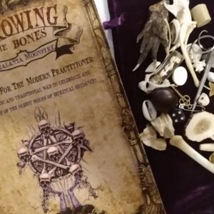 Throwing the Bones Book & Kit 129 Pgs and 15 Pc Learn to Throw the ...