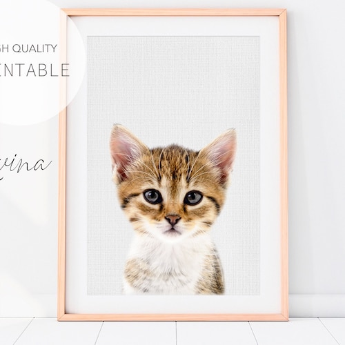 Cat Print Baby Animal Print Nursery Print Kitten Print - Etsy