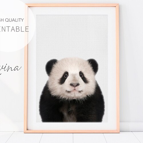 Baby Red Panda Print Baby Animal Poster Kids Bedroom Poster | Etsy