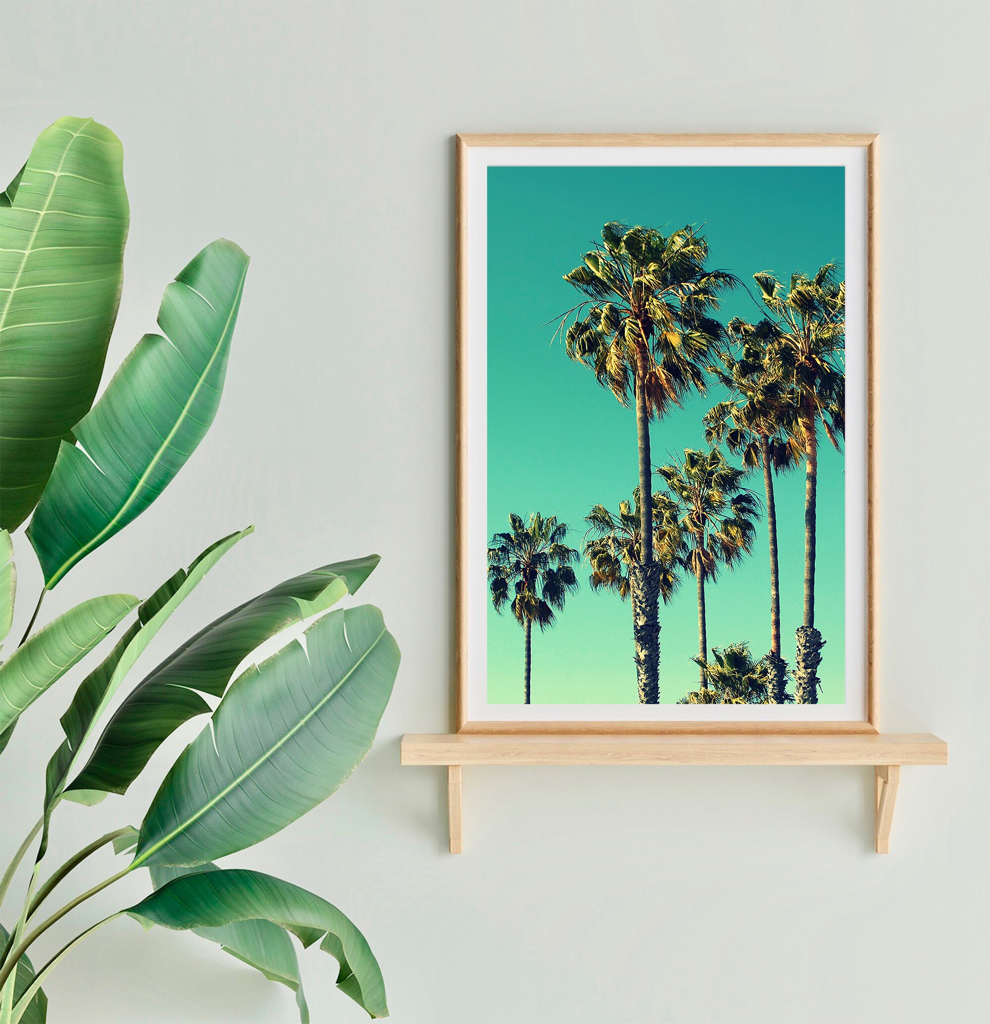 Palm Tree Poster Printable Palm Tree Print Modern Beach - Etsy UK