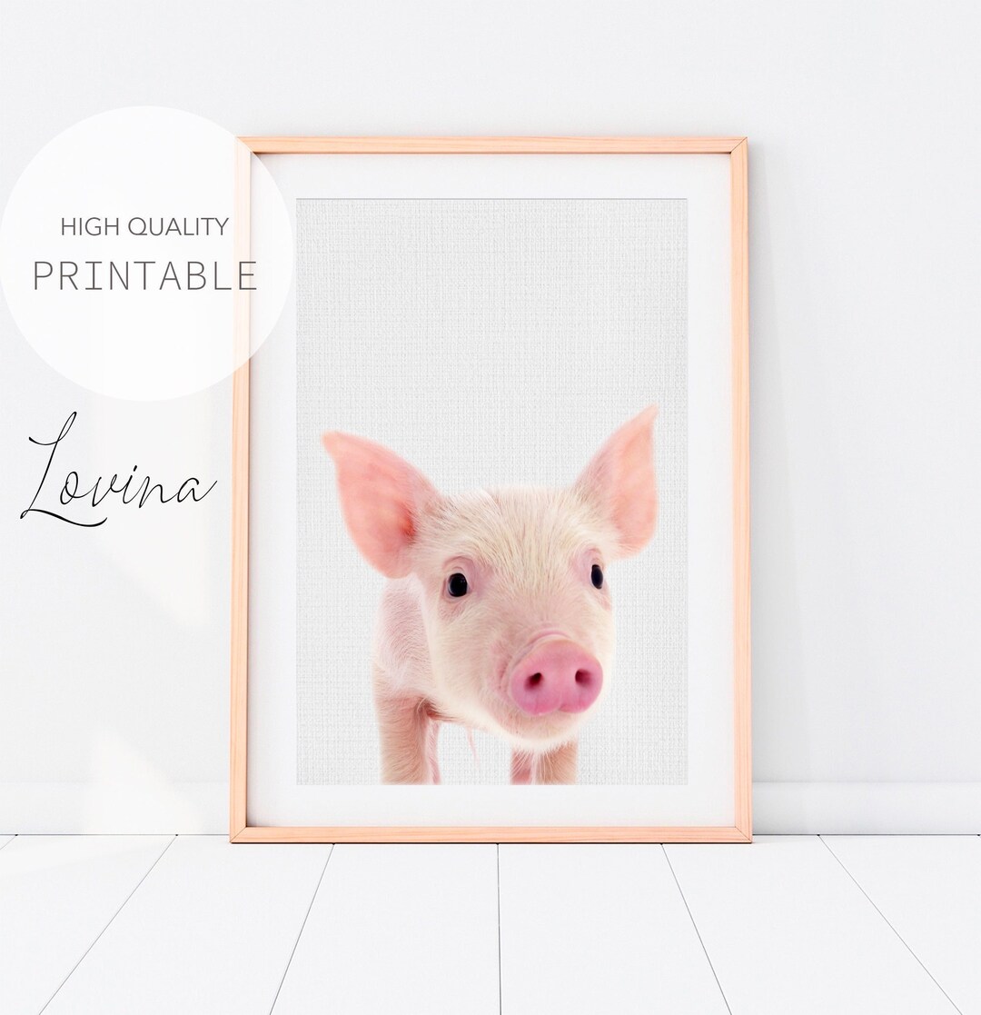 Big big print, baby varken poster, boerderijdieren piggy, kids ...