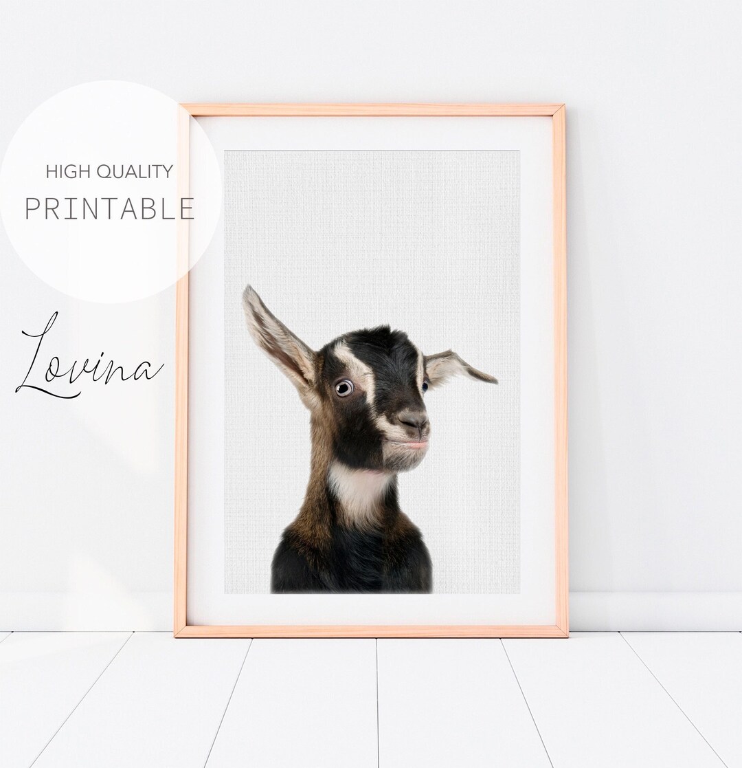Baby Goat Print, Baby Animal Poster, Goat Wall Art, Printable Nursery ...