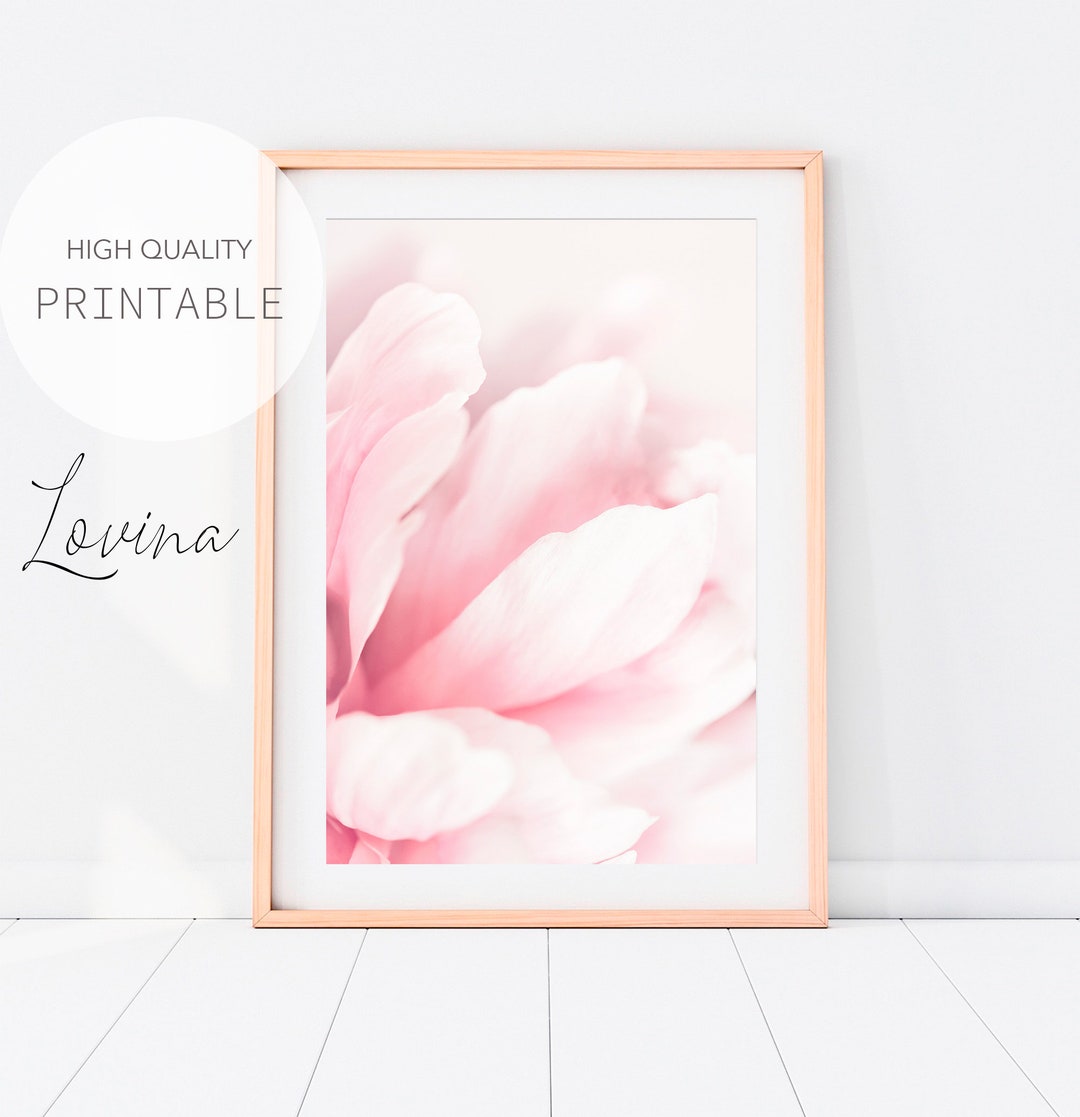 Blush Pink Flower Poster Blush Wall Art Blush Pink Peonies Print