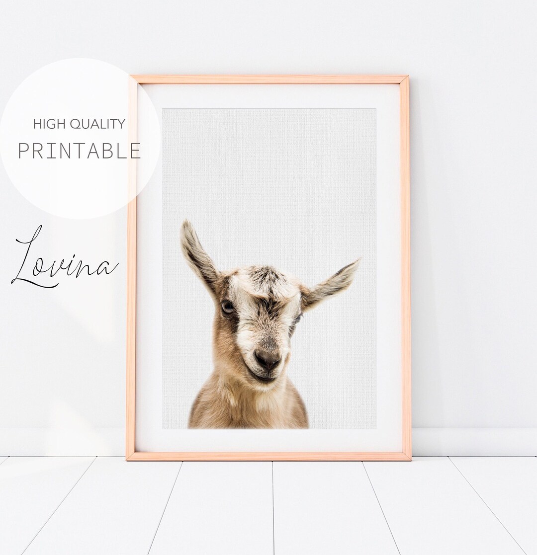 Baby Goat Poster, Farm Animal Nursery Art, Goat Wall Print, Farmhouse ...