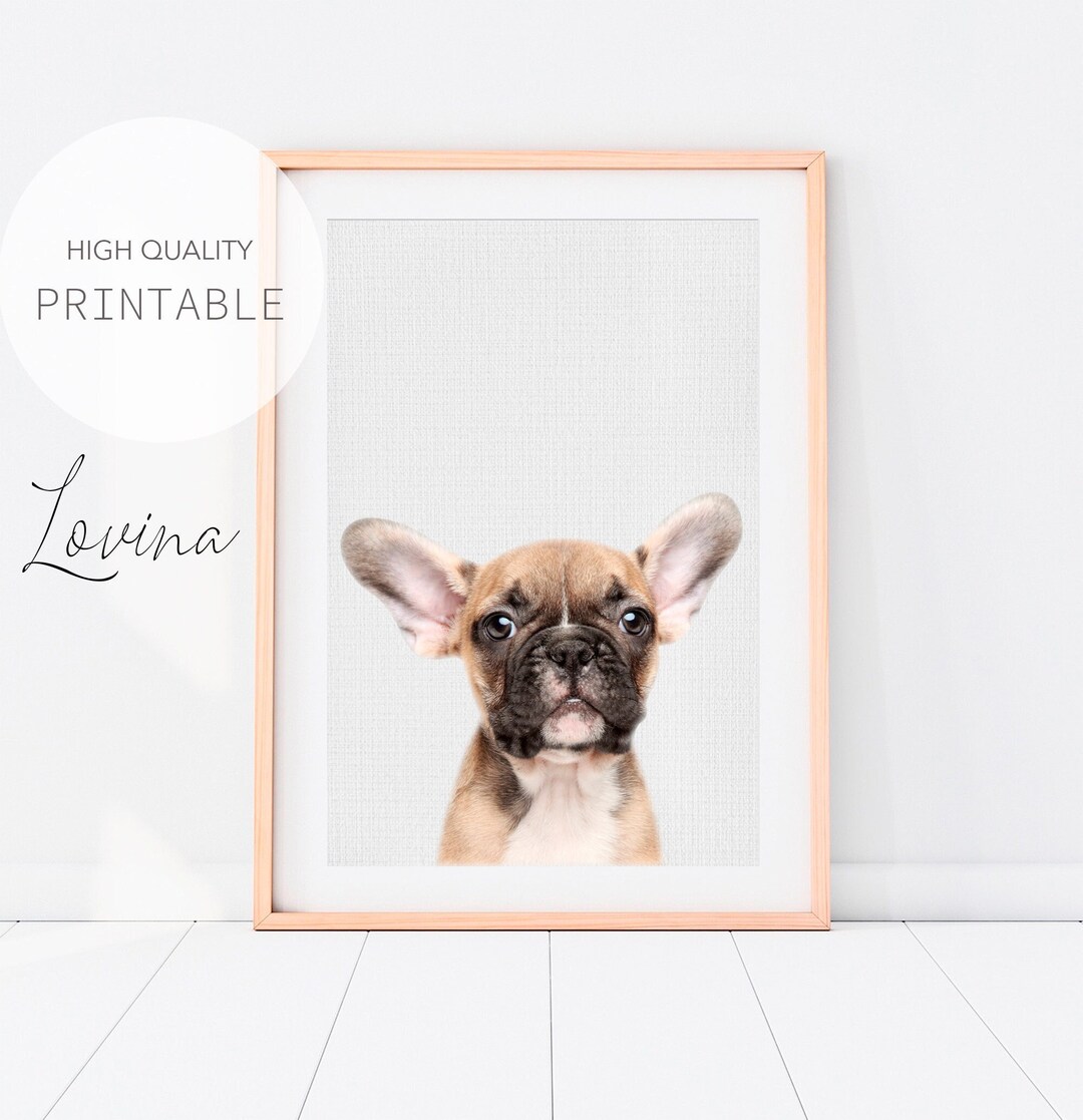 French Bulldog Print, Puppy Poster, French Bulldog Art, Puppy Dog ...