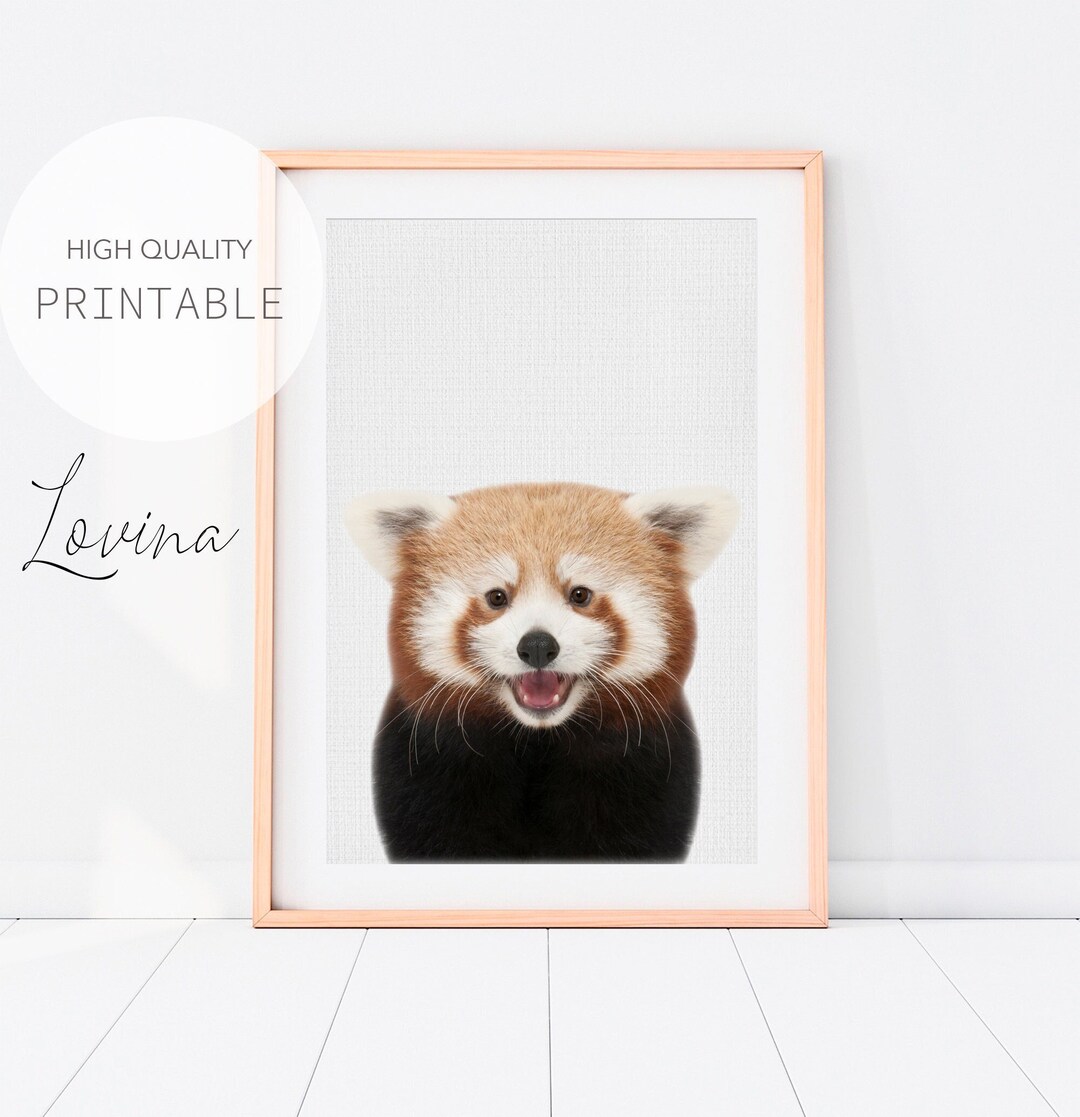 Baby Red Panda Print, Baby Animal Poster, Kids Bedroom Poster, Red ...