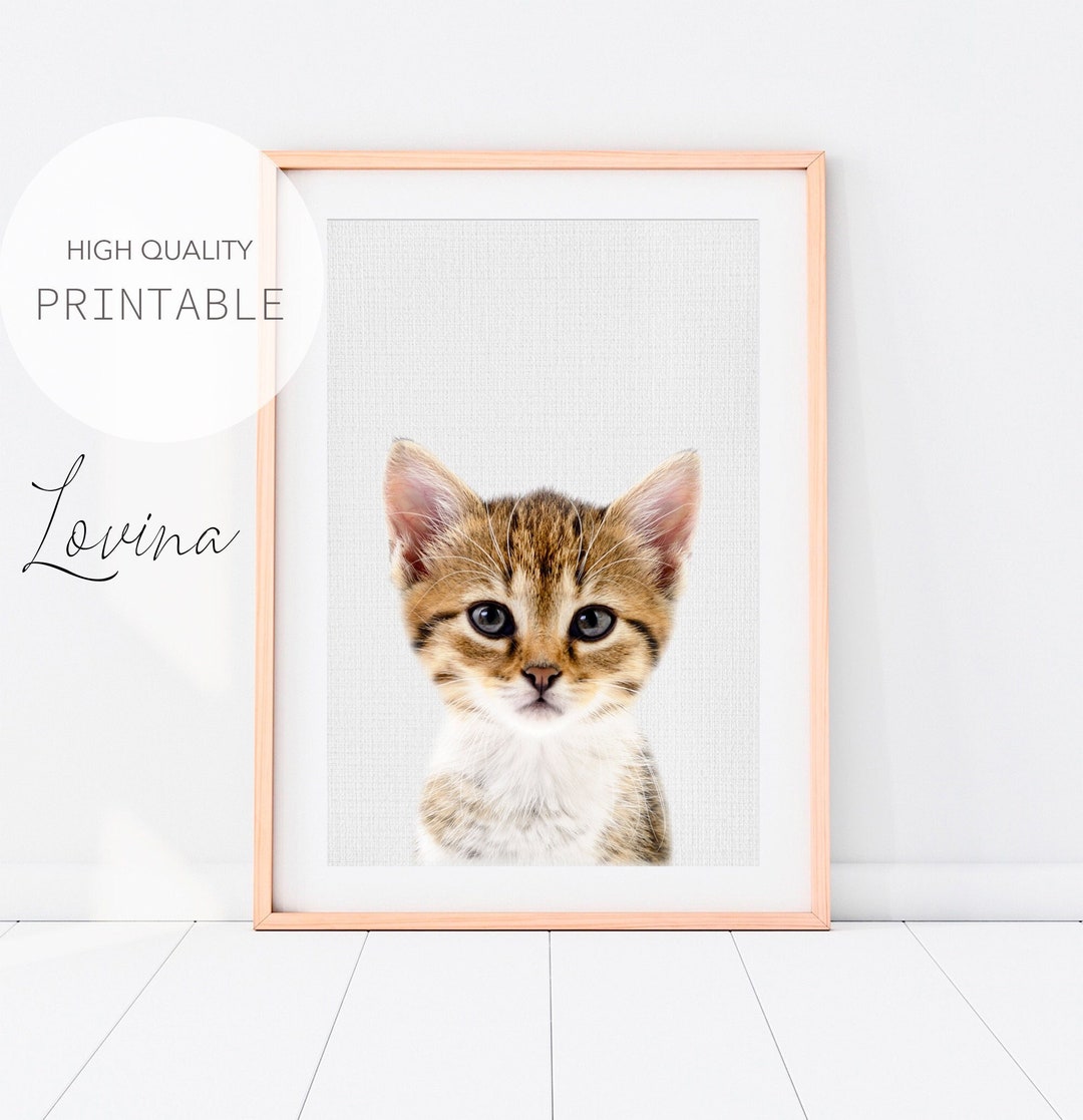 Baby Kitten Print, Printable Nursery Baby Animal, Cat Poster, Cute ...