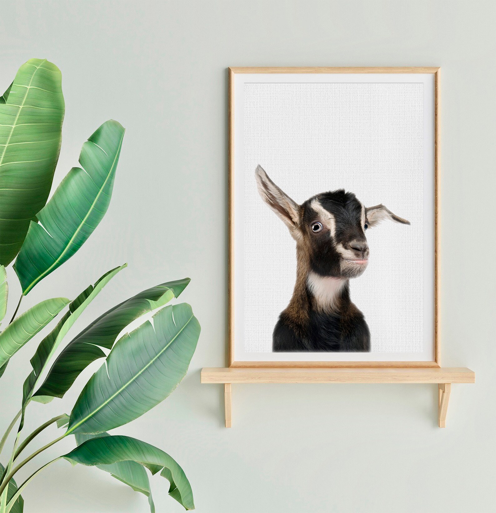 Baby Goat Print Baby Animal Poster Goat Wall Art Printable | Etsy