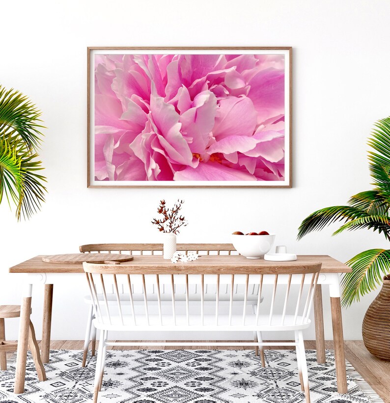 Peony Photography Pink Flower Poster Art Pink Flower | Etsy
