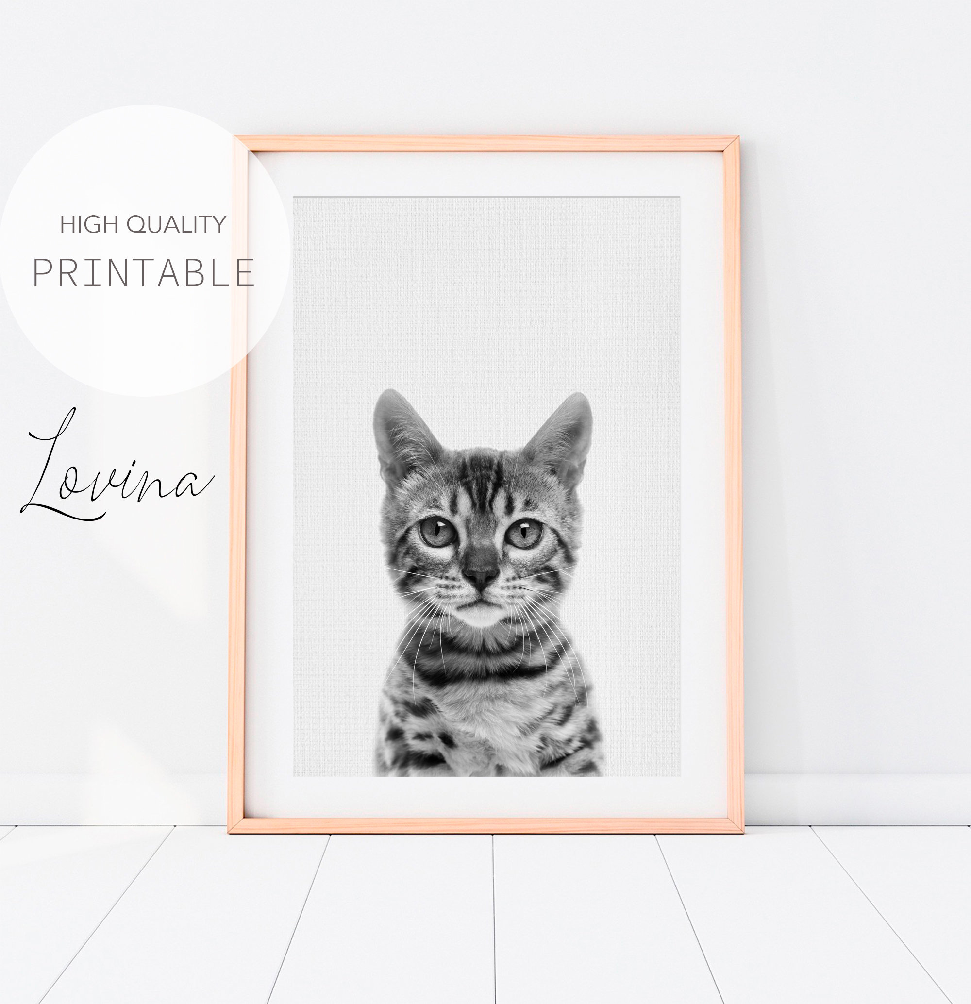 Cat Print, Black and White Nursery Animal Photo, DIGITAL DOWNLOAD, Baby ...