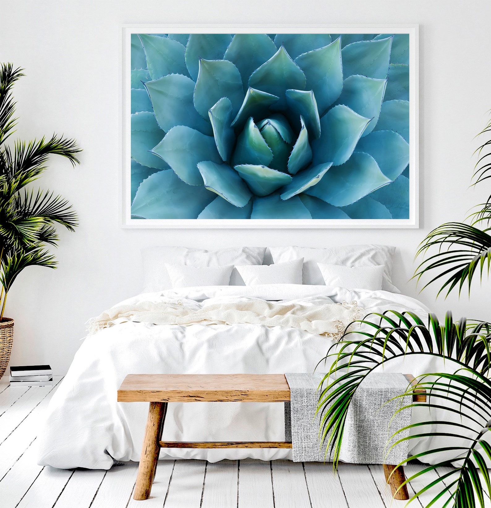 Agave Poster, Succulents Wall Art, Agave Artwork, Large Succulent Print ...