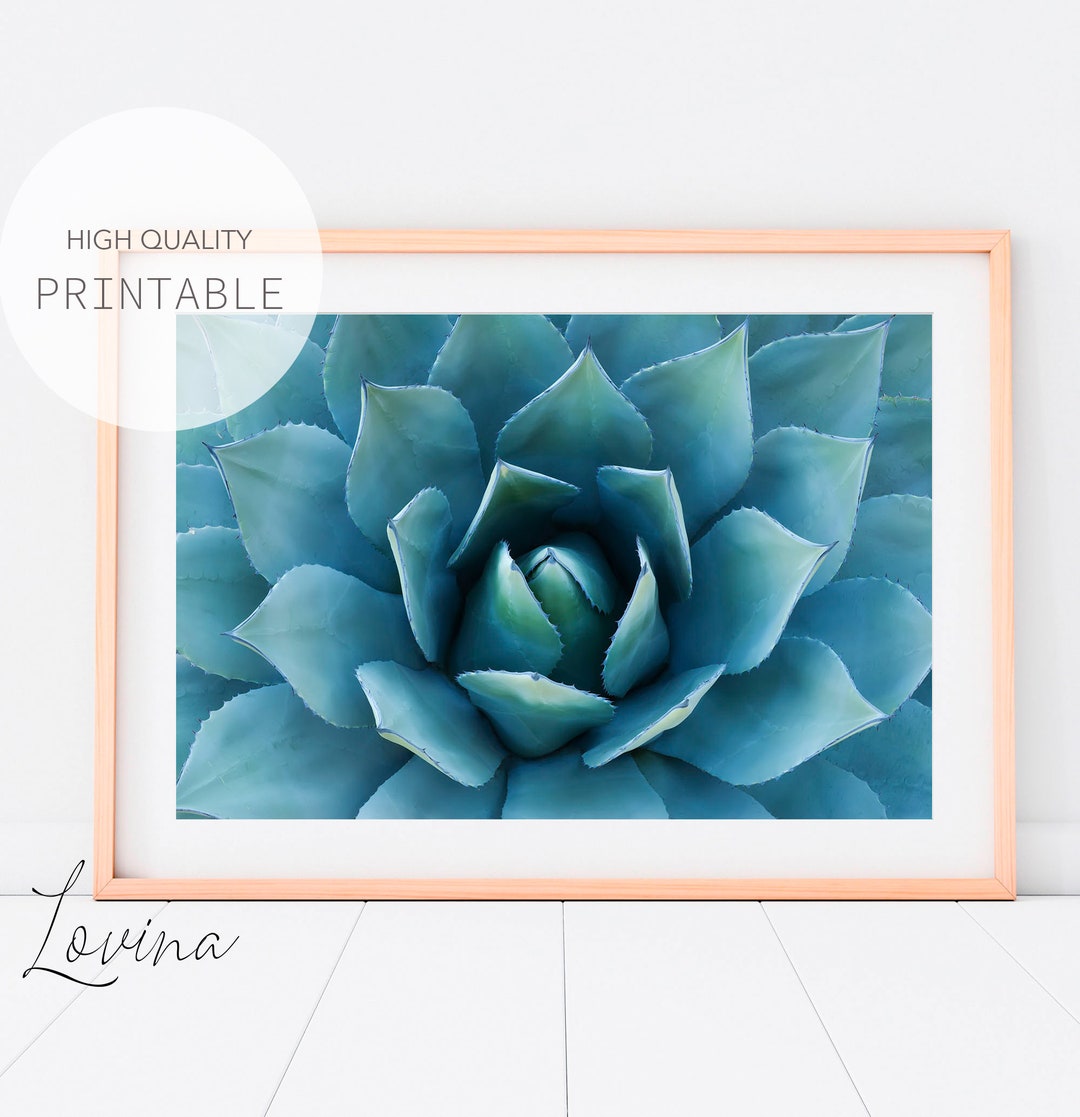 Agave Poster, Succulents Wall Art, Agave Artwork, Large Succulent Print ...