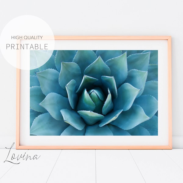Large Agave Paintings - Etsy