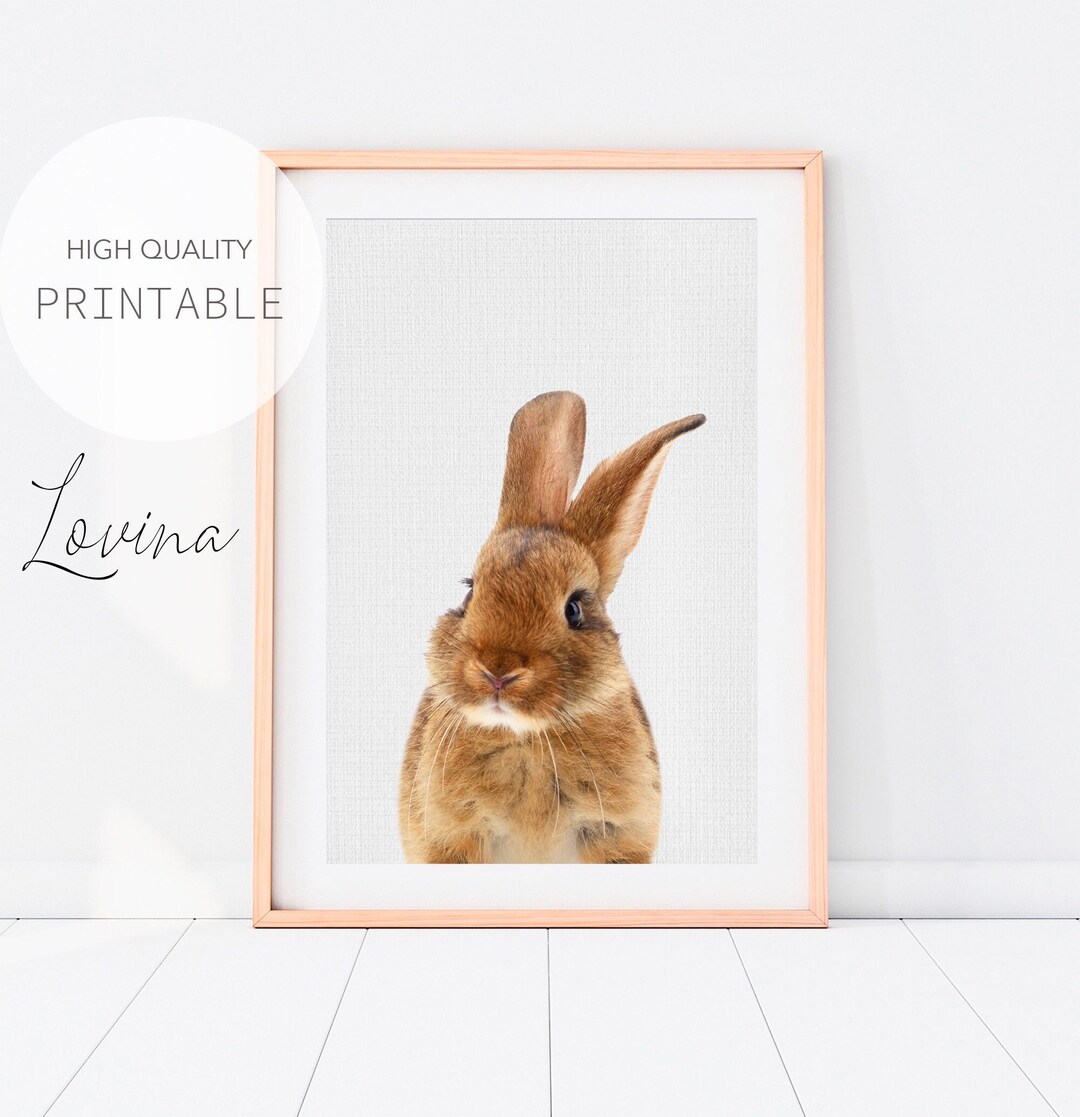 Bunny Print, Baby Nursery Animals, Bunny Nursery Decor Girl, Rabbit ...