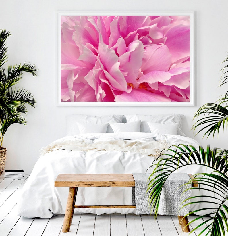 Peony Photography Pink Flower Poster Art Pink Flower | Etsy