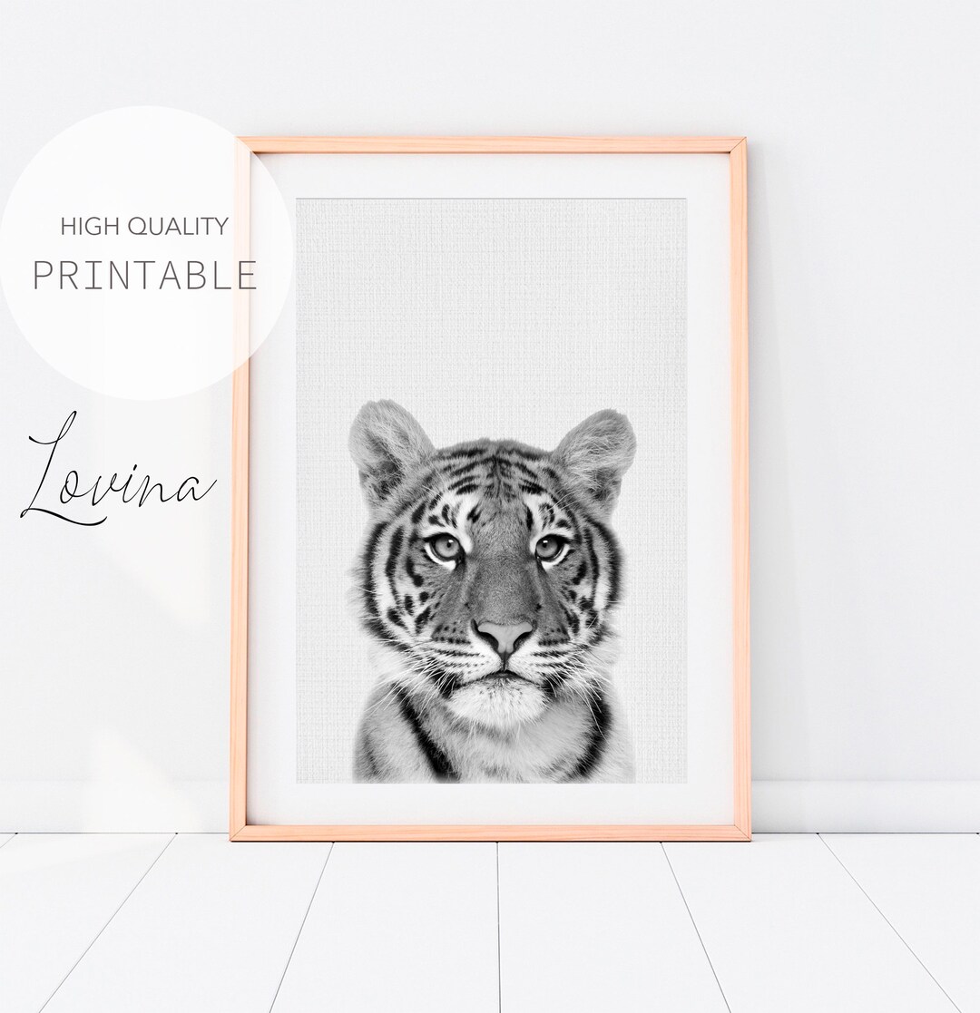 Tiger Print, Black White Safari Animals, DIGITAL DOWNLOAD, Tiger ...