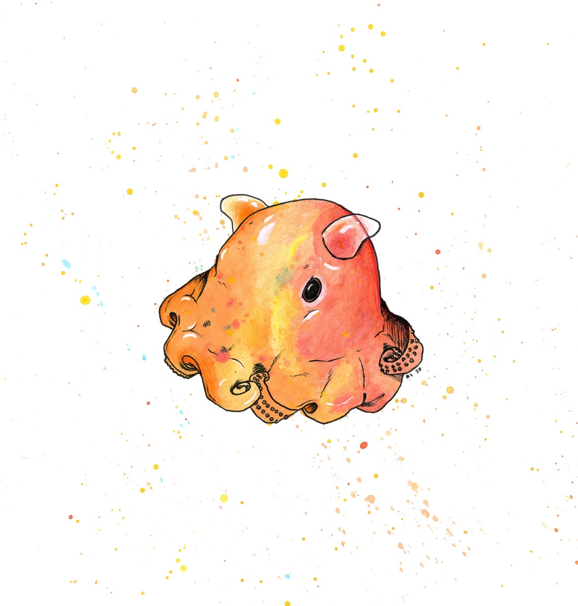 Dumbo Octopus- Print - Etsy