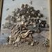 Money Tree - "golden Turtle" - Etsy