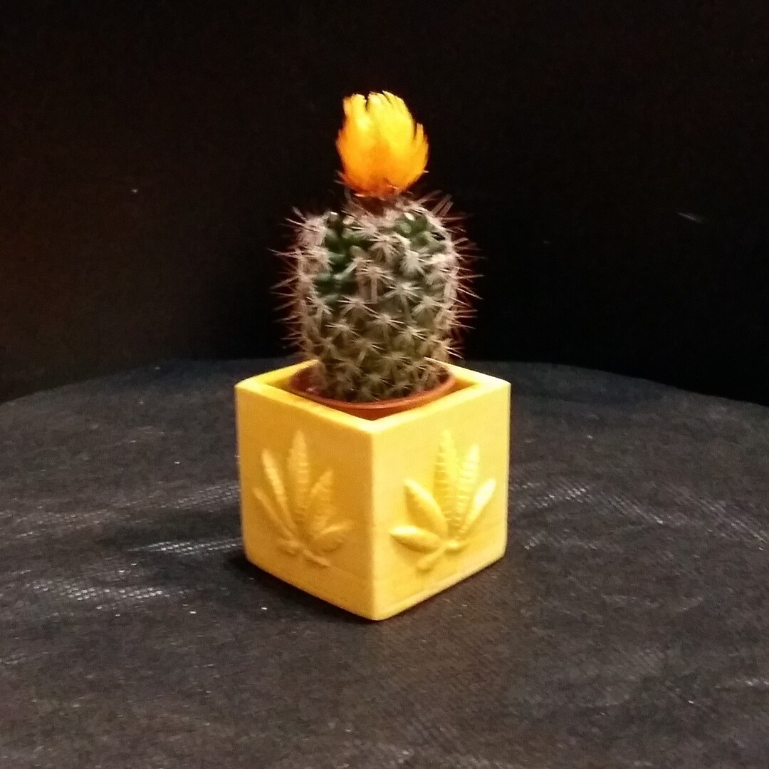 3 Mini Hemp Leaves Cubic Pots, Exclusive Design - Vase - Ceramic Resin ...