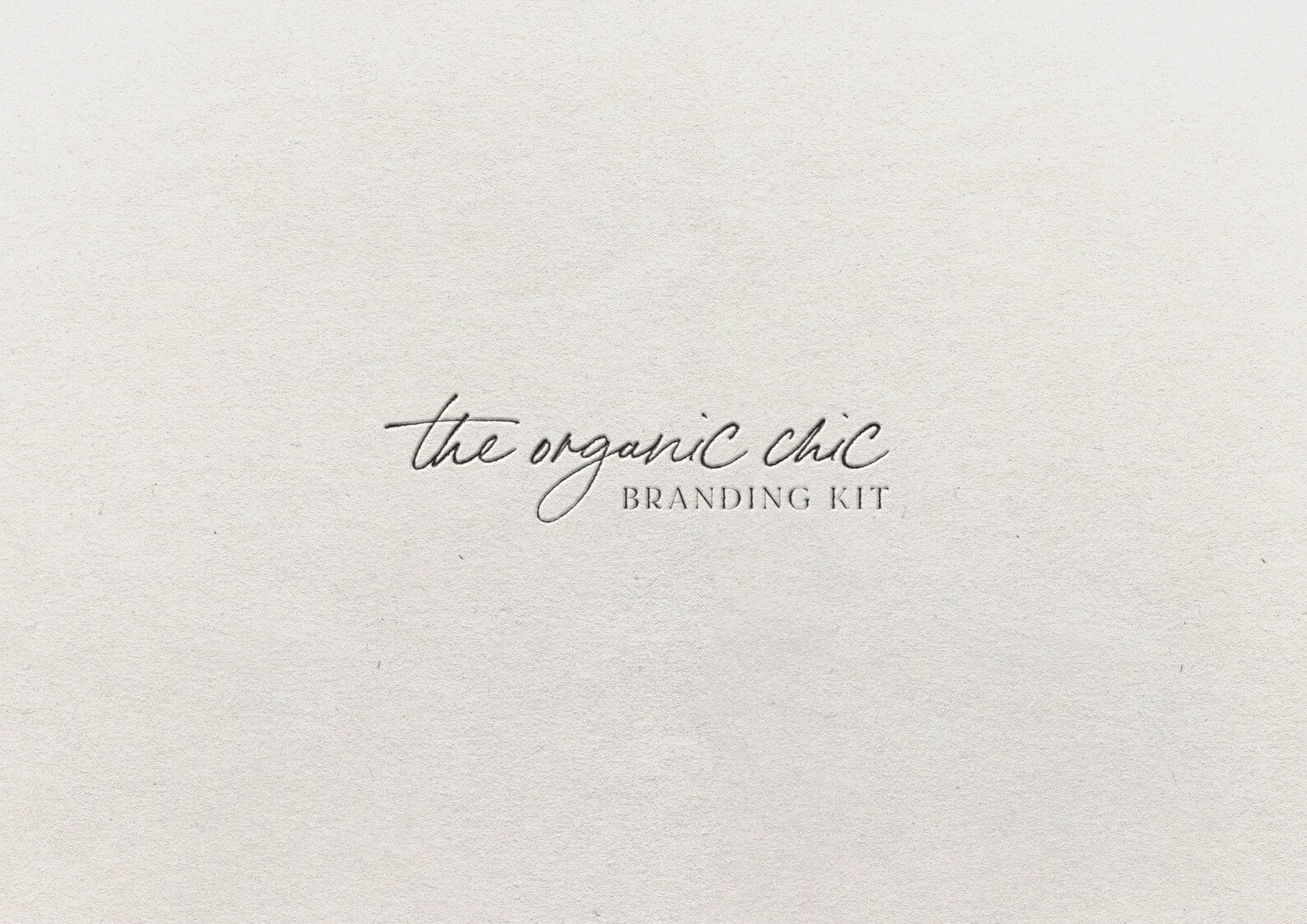 Premade Branding Kit, Professional Brand Design, Brand Kit for Small ...