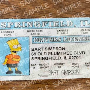 The Simpsons Id Drivers License Card Bart Marge Homer Maggie Lisa ...