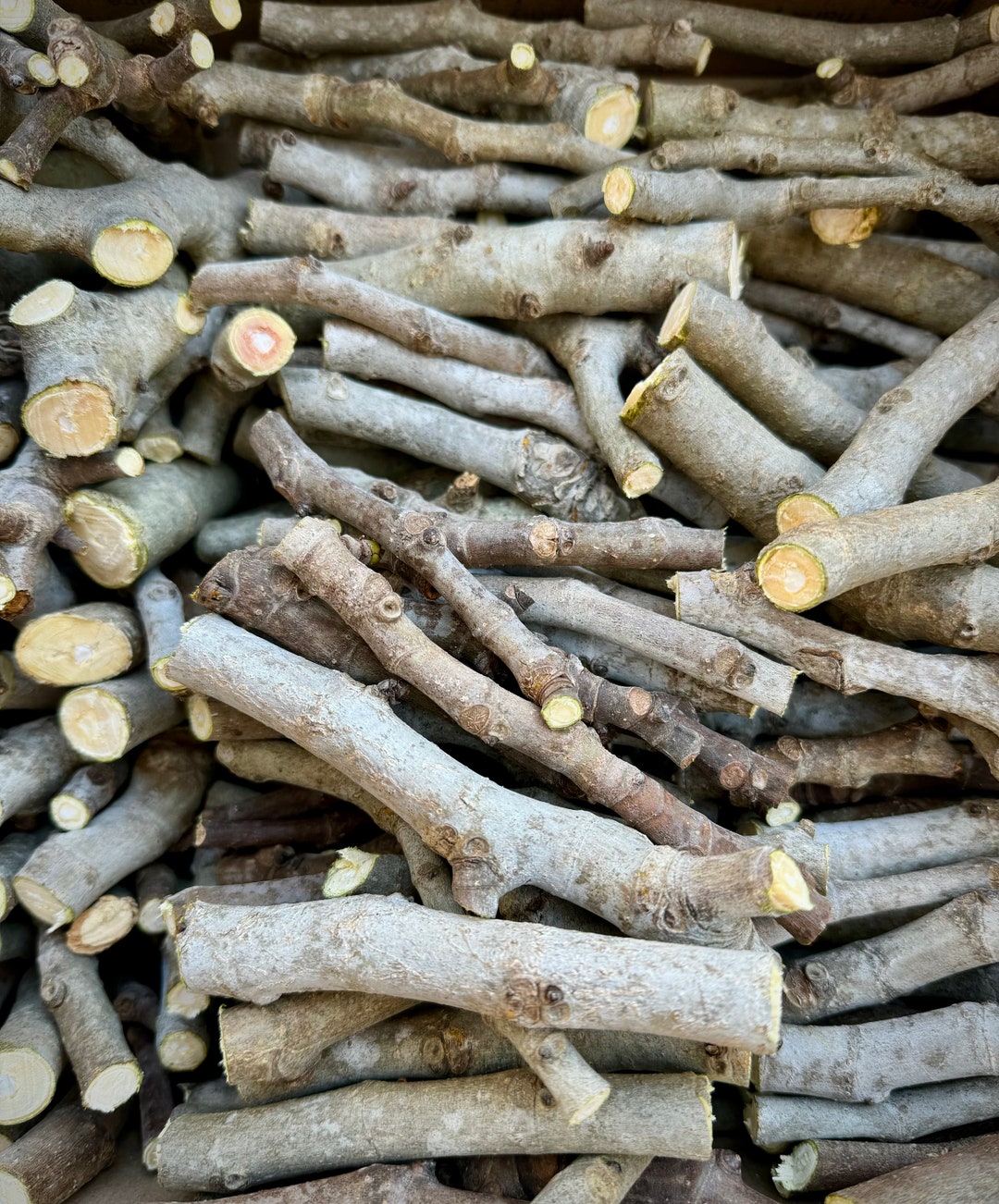 Fig Branches: Smudge Sticks, Spell Work - From Abandoned Asylum Tree - Etsy