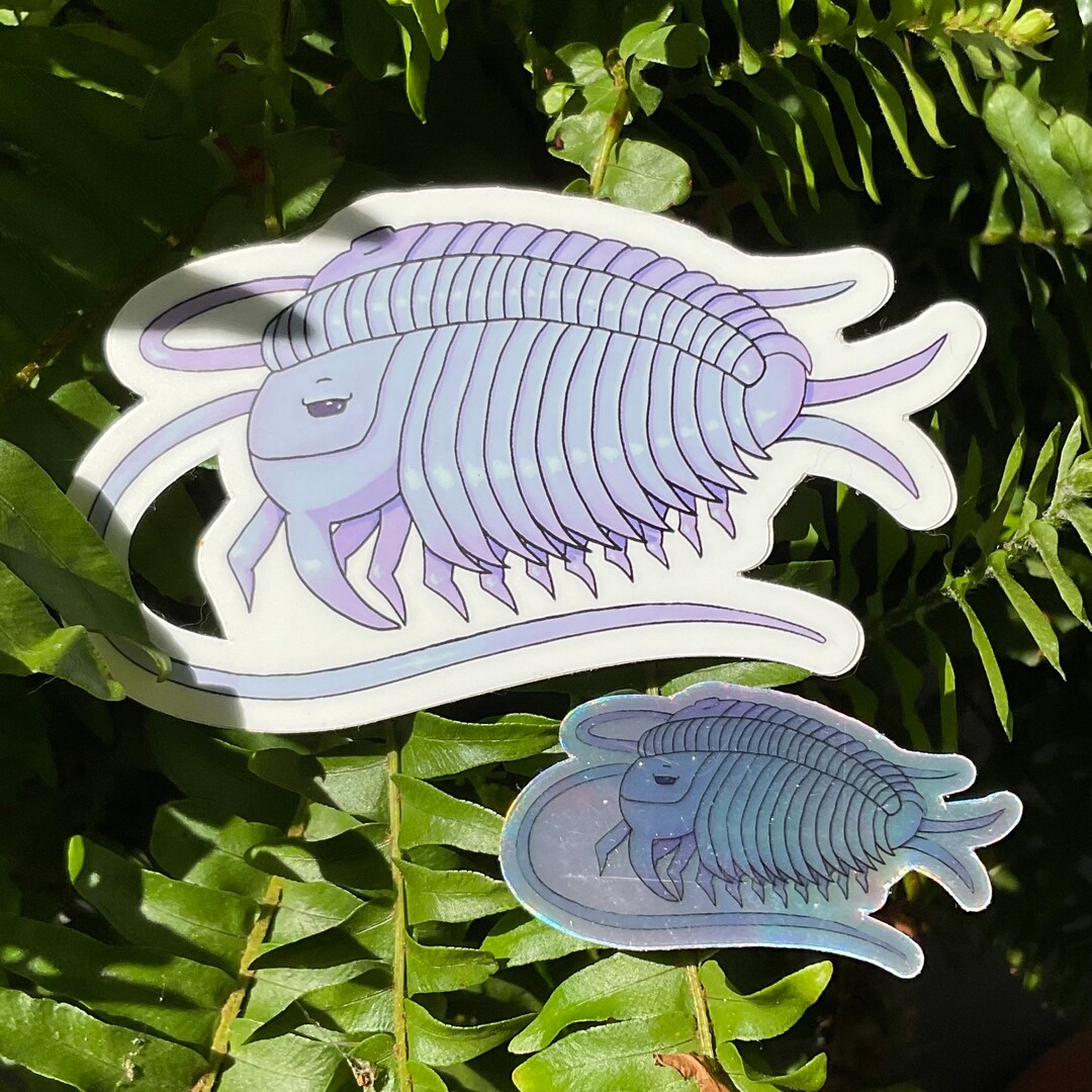 Trilobite Fossil Sticker - Etsy