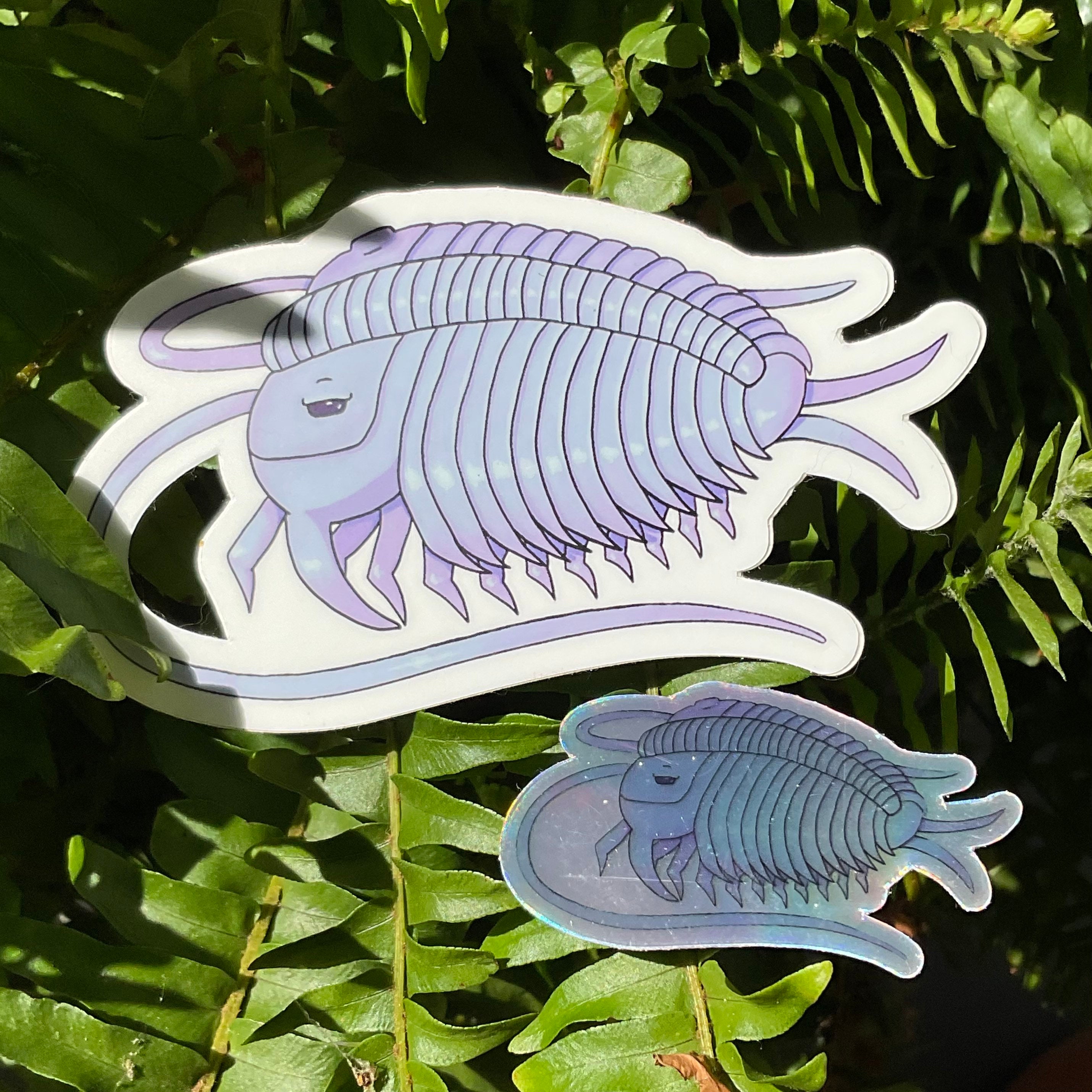 Trilobite Fossil Sticker - Etsy