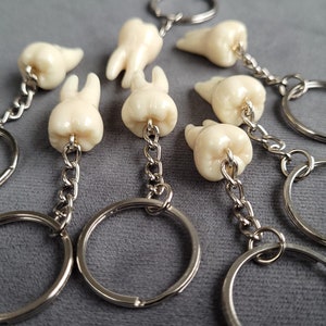 Tooth Key Ring Glow in the Dark Fake Teeth Artificial First Lower Molar ...