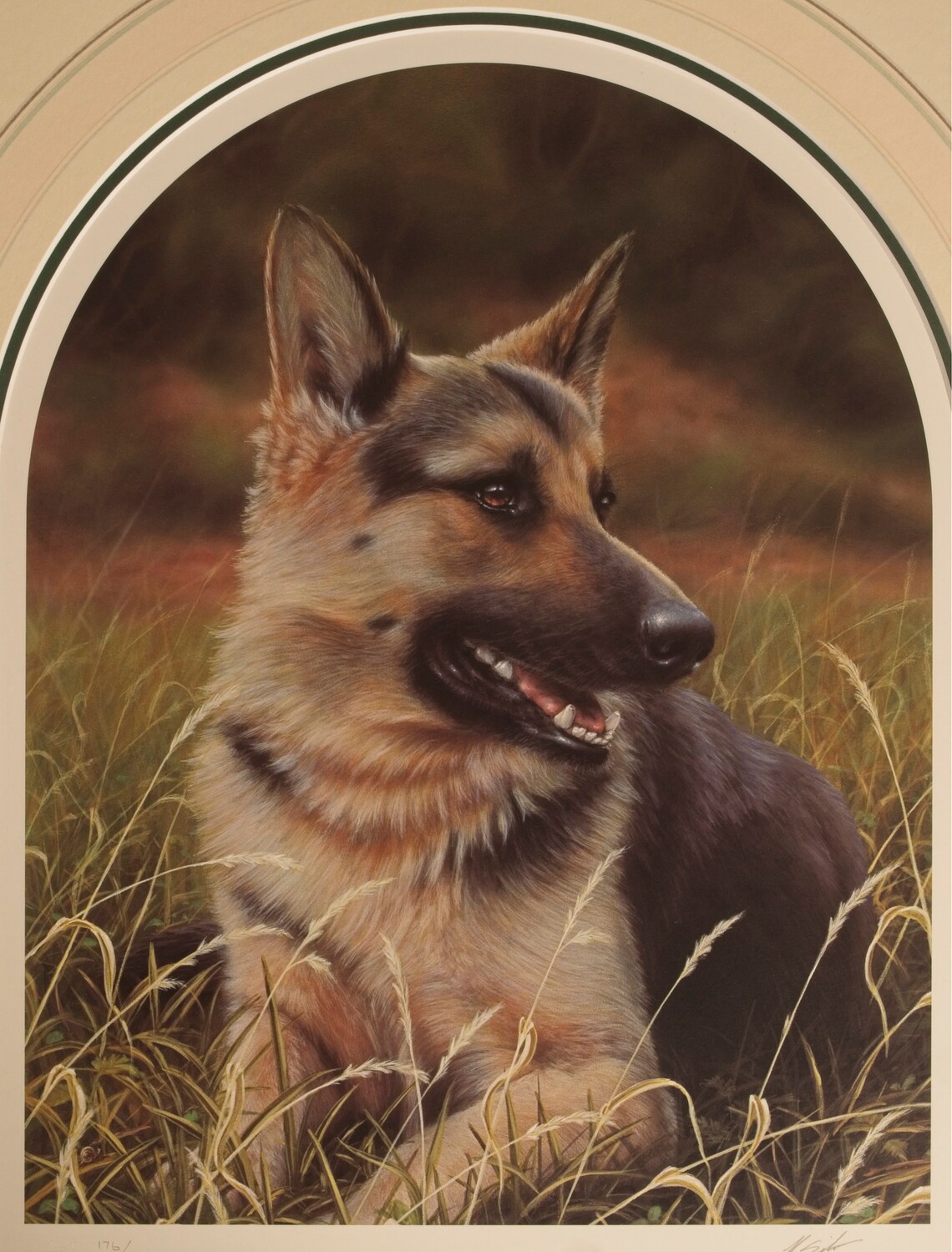 German Shepherd Print, Limited Edition Signed by Artist John Silver ...