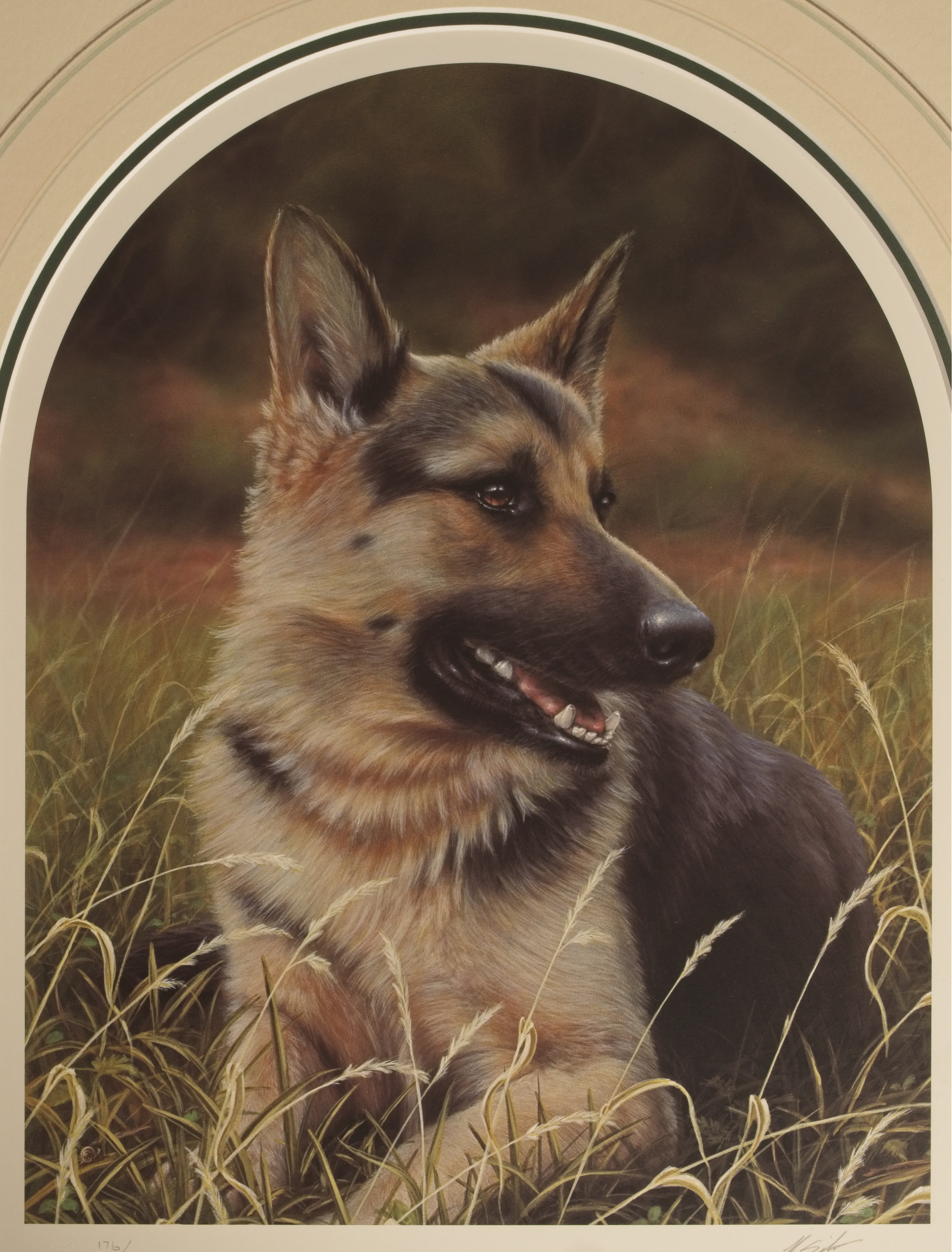 German Shepherd Print, Limited Edition Signed by Artist John Silver ...