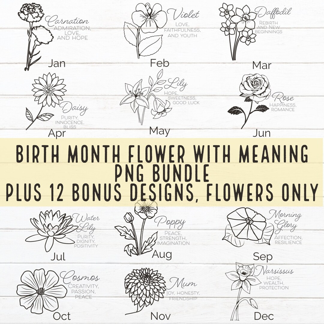 Birth Month Flower PNG Bundle: Floral Art Set (digital Download) - Etsy