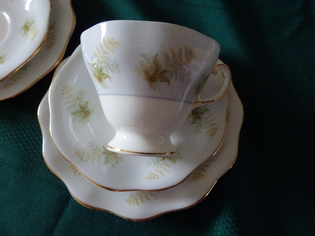 Vintage EB (elijah Brain) Old Foley Fine Bone China Trio With Spare ...