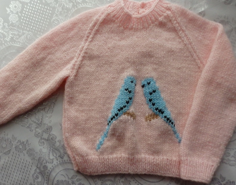 NEW - Hand Knitted Jumper Featuring 2 Budgies Available in Sizes 1 to 6 ...