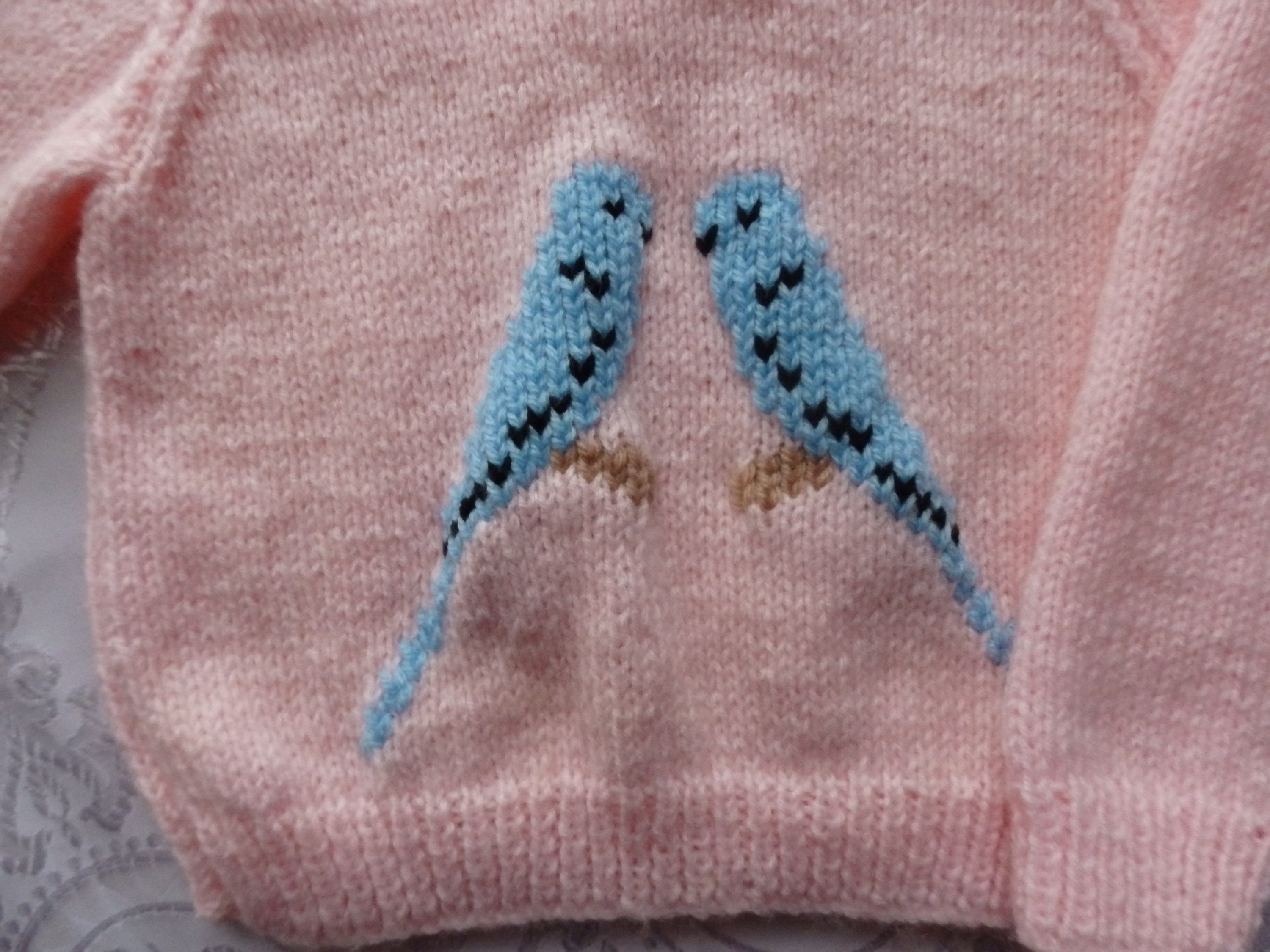 NEW - Hand Knitted Jumper Featuring 2 Budgies Available in Sizes 1 to 6 ...
